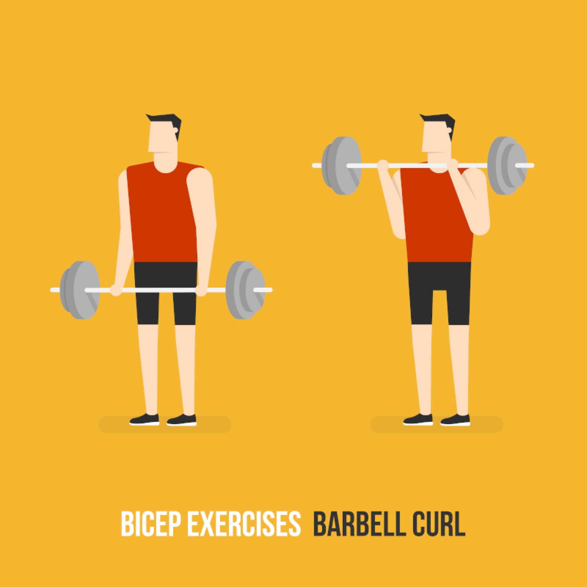 Biceps øvelser – 10+ effektive øvelser med og uden håndvægte